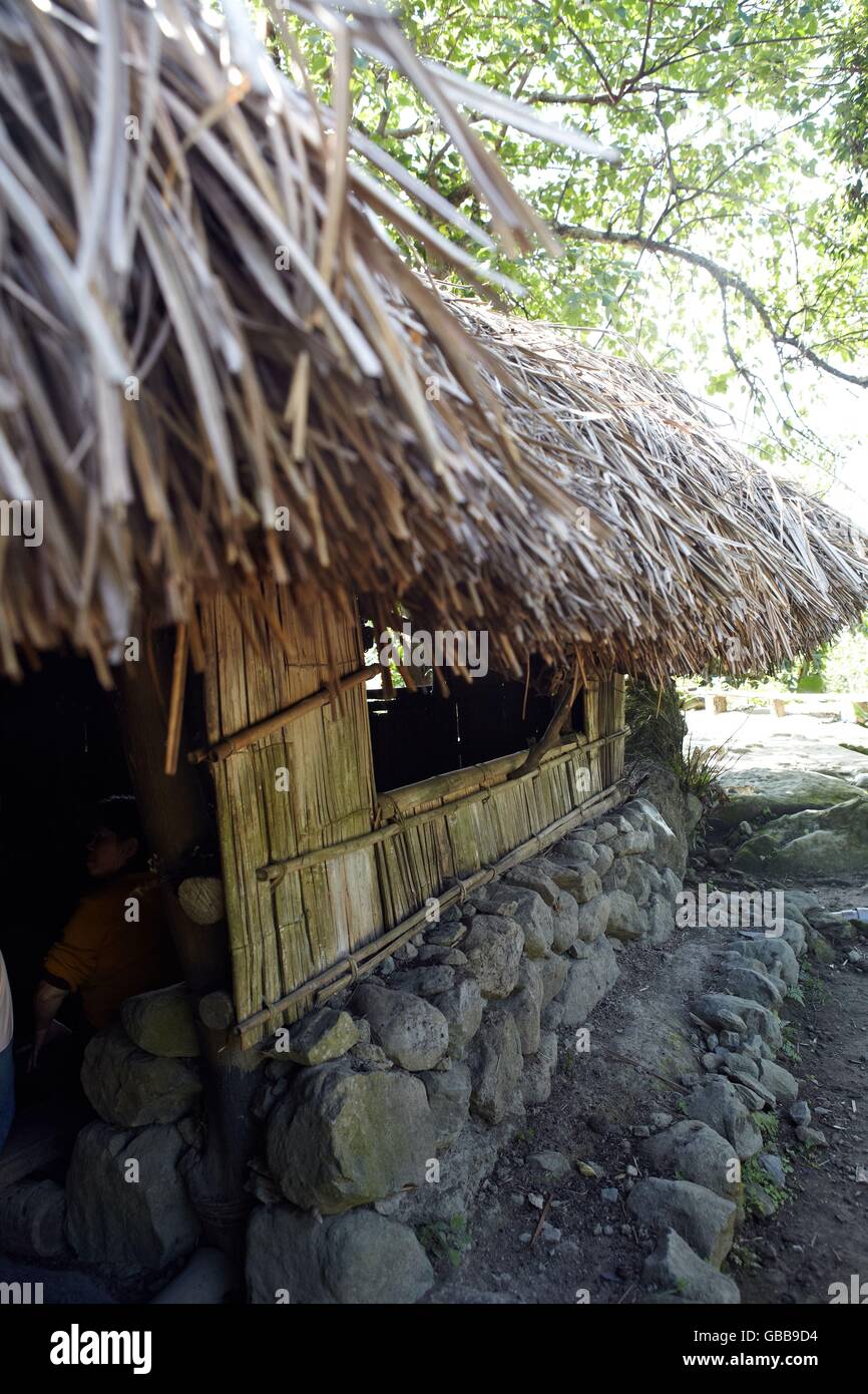Luan mountain forest museum Stock Photo - Alamy