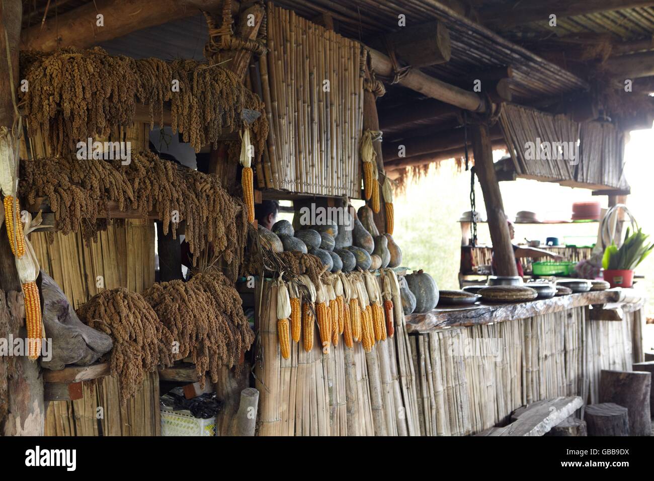 Luan mountain forest museum Stock Photo - Alamy