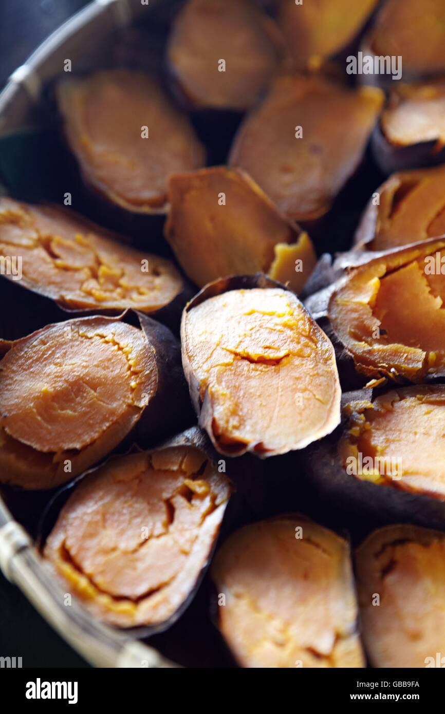 Luan mountain forest museum Stock Photo - Alamy