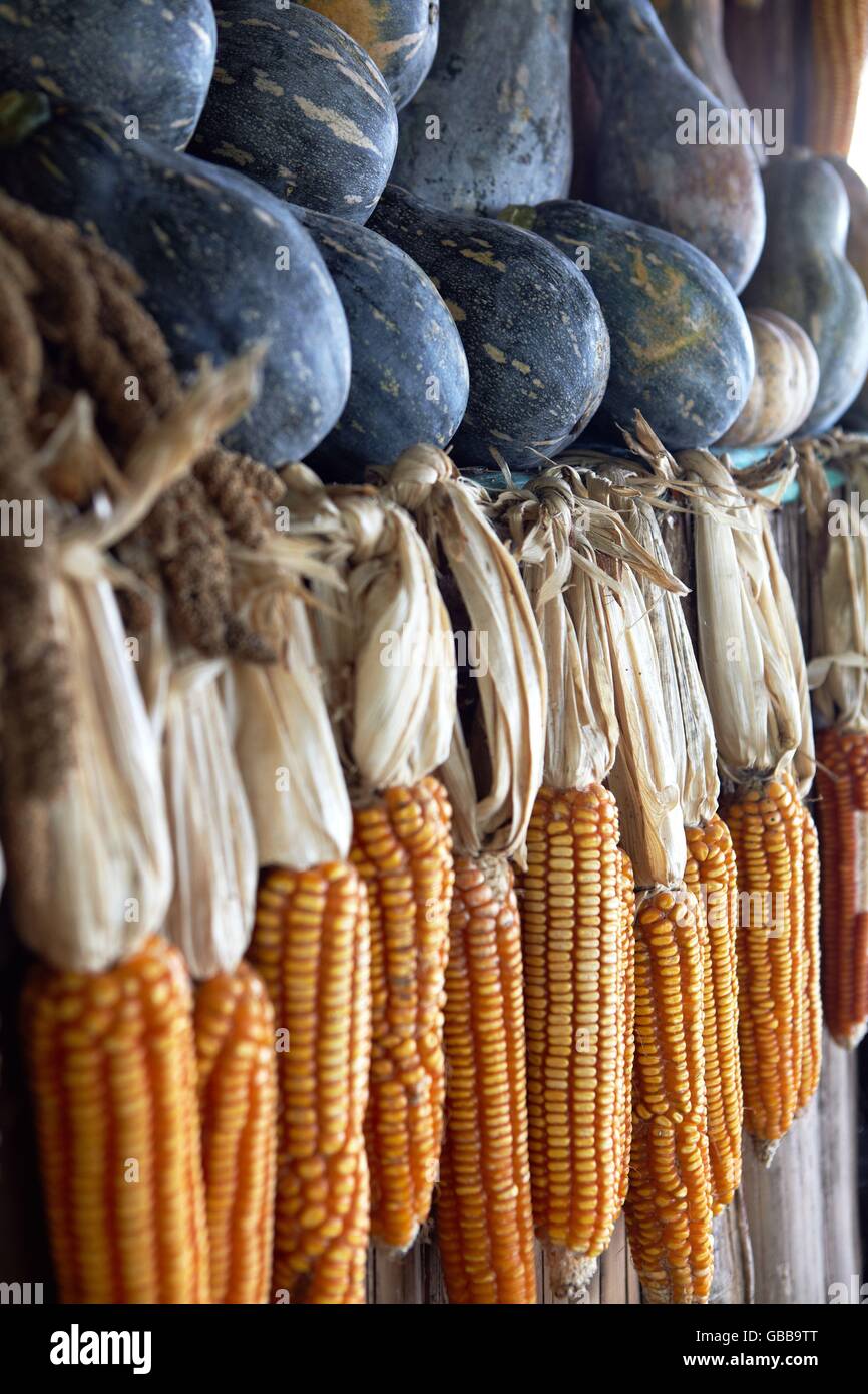 Luan mountain forest museum Stock Photo - Alamy