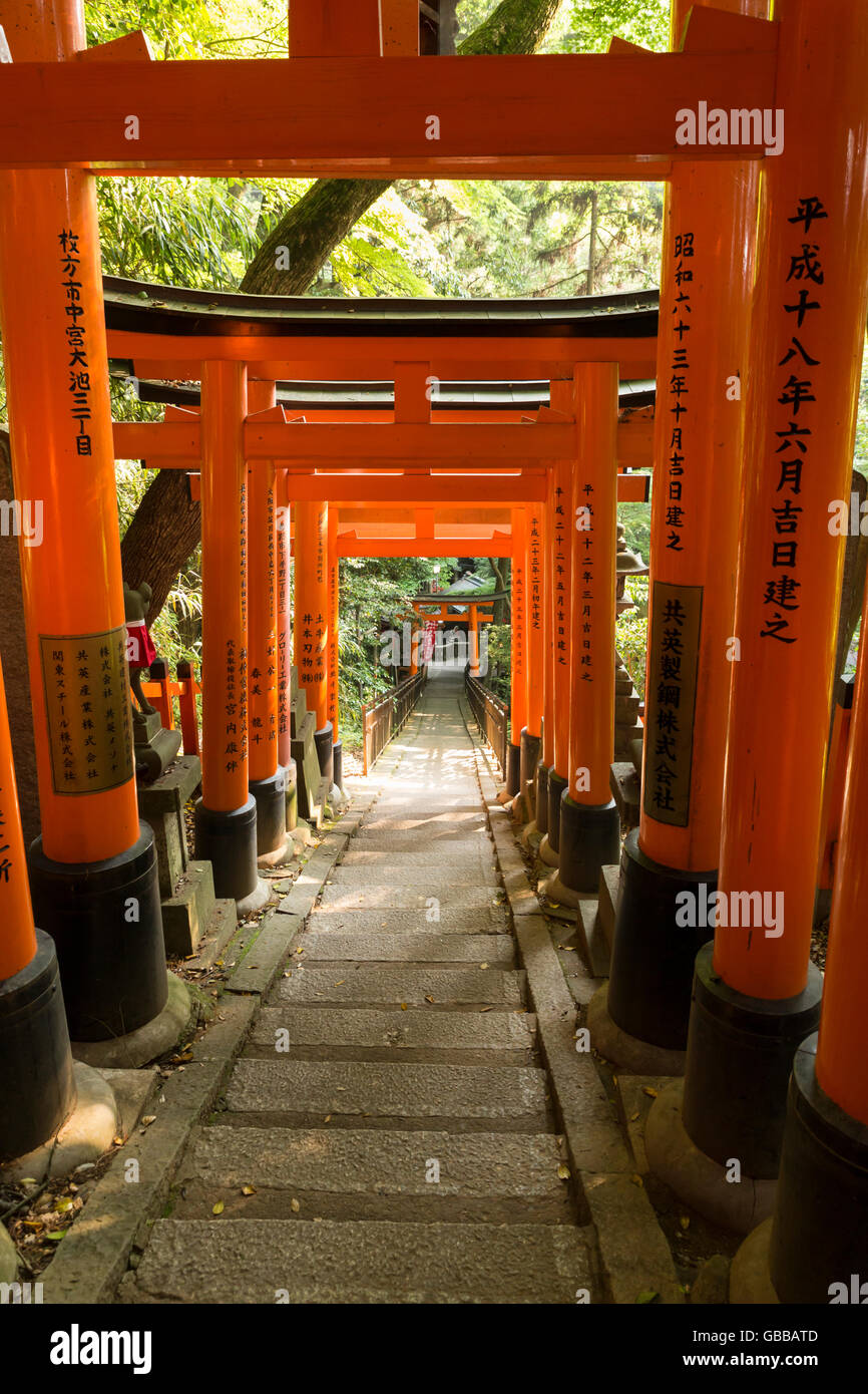 Pathway with orange painted torii (gates) at the world famous fushimi ...