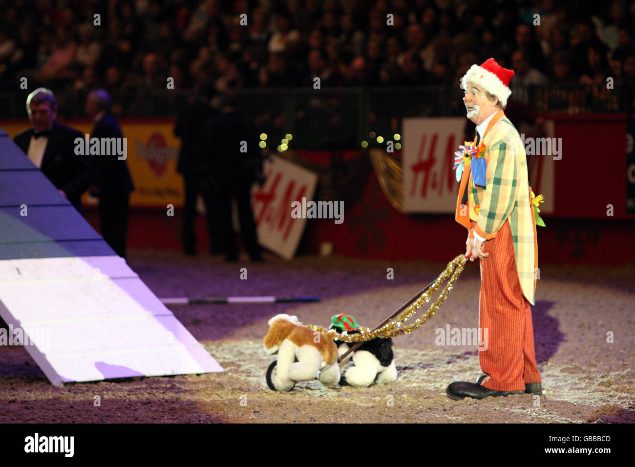 The Kennel Club Dog Agility display at the evening performance of ...