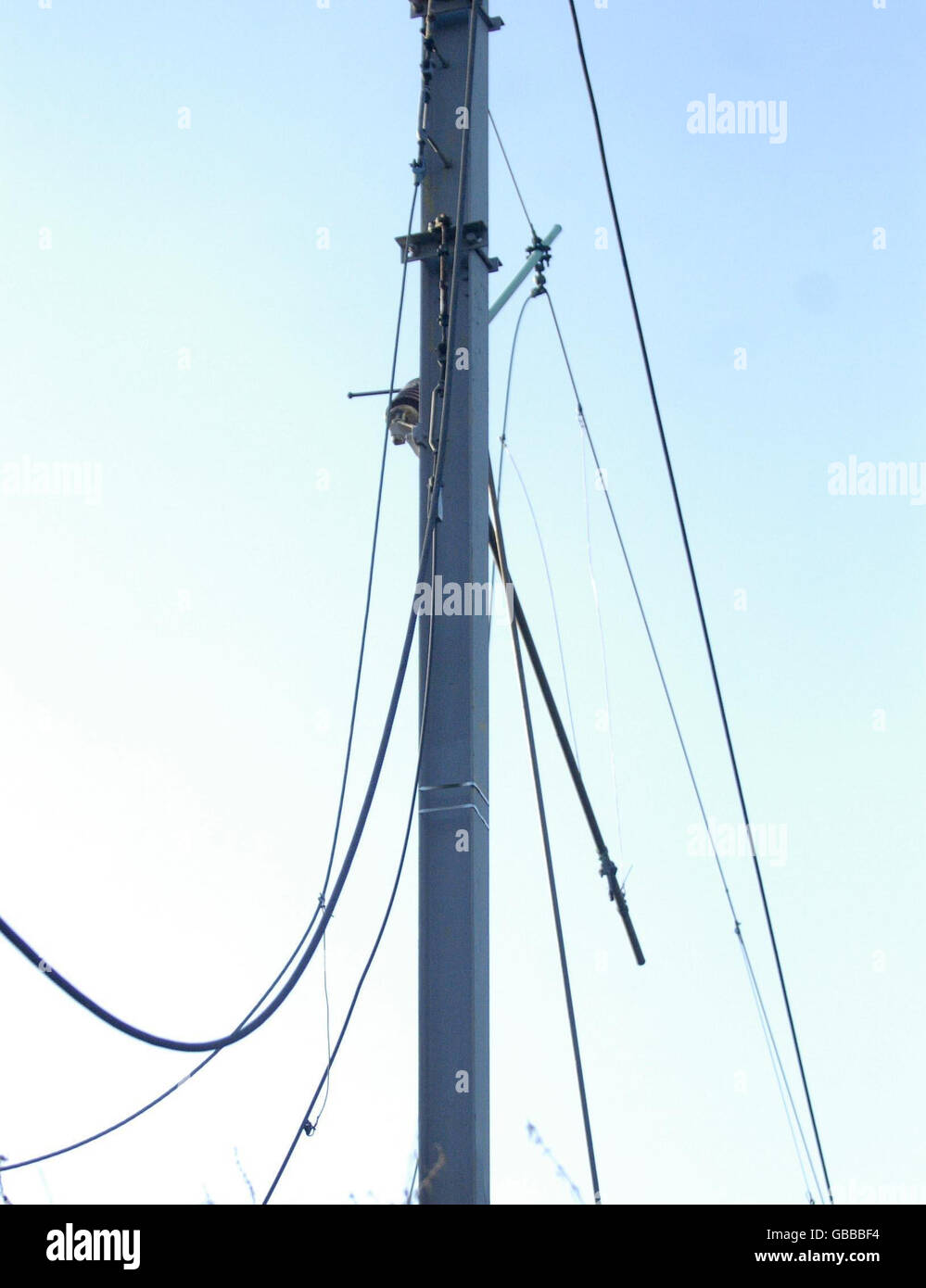 Damaged power lines at the scene after a light aircraft crashed onto ...