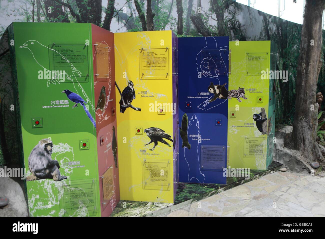 Tawu nature education center Stock Photo - Alamy