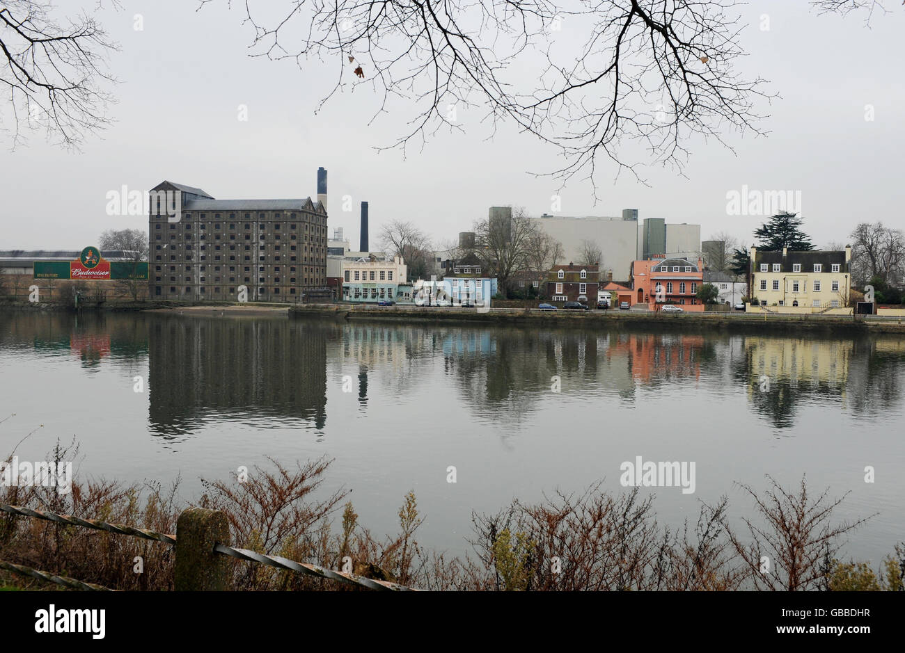 The Stag Brewery Stock Photo - Alamy