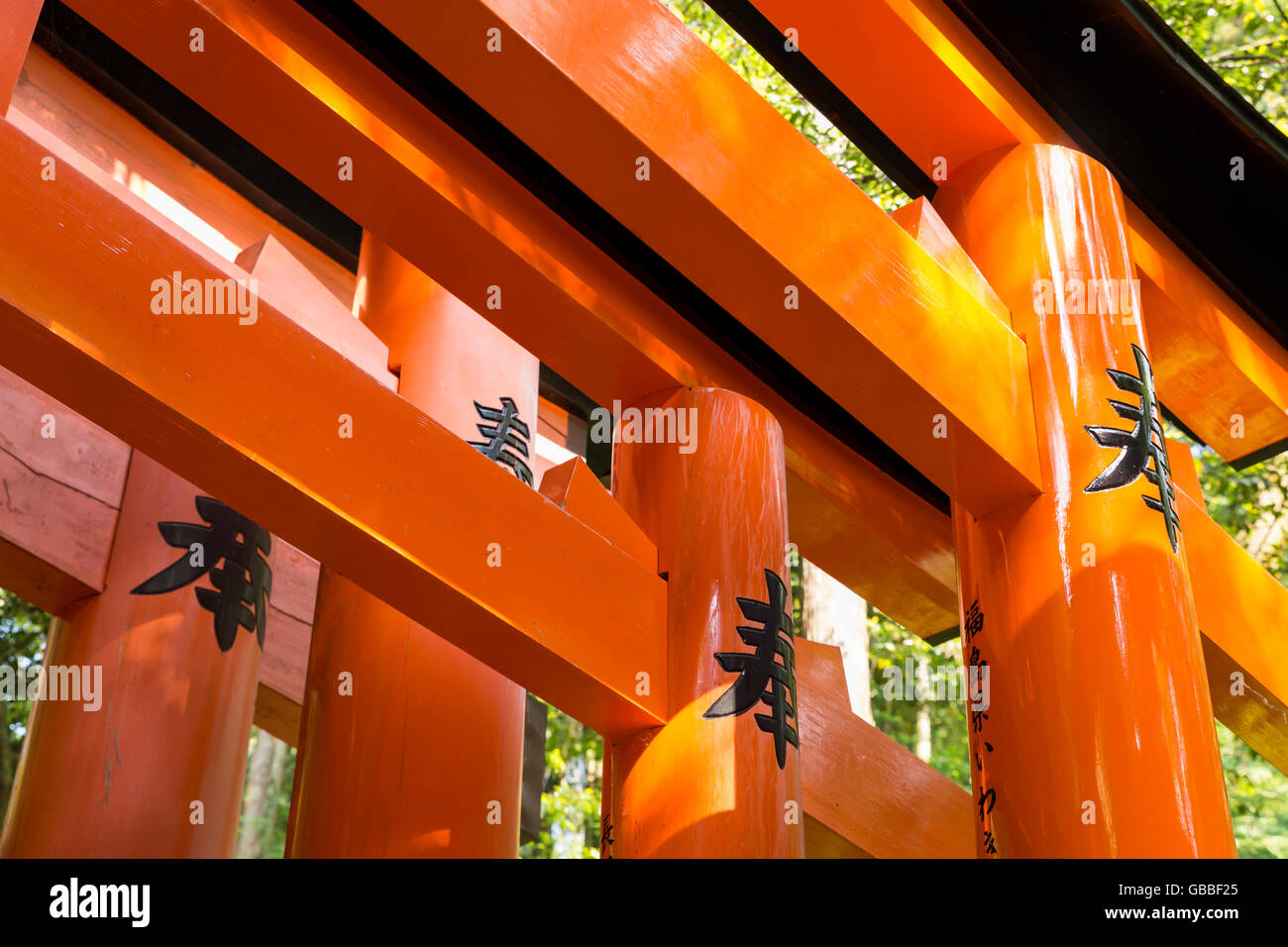 Pathway with orange painted torii (gates) at the world famous fushimi ...