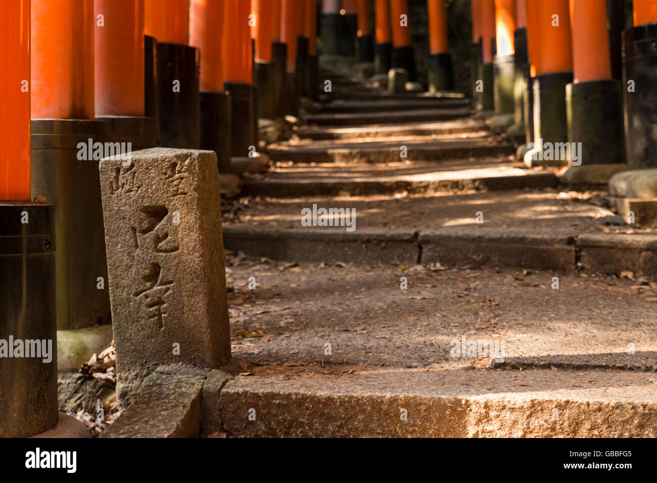 Pathway with orange painted torii (gates) at the world famous fushimi ...
