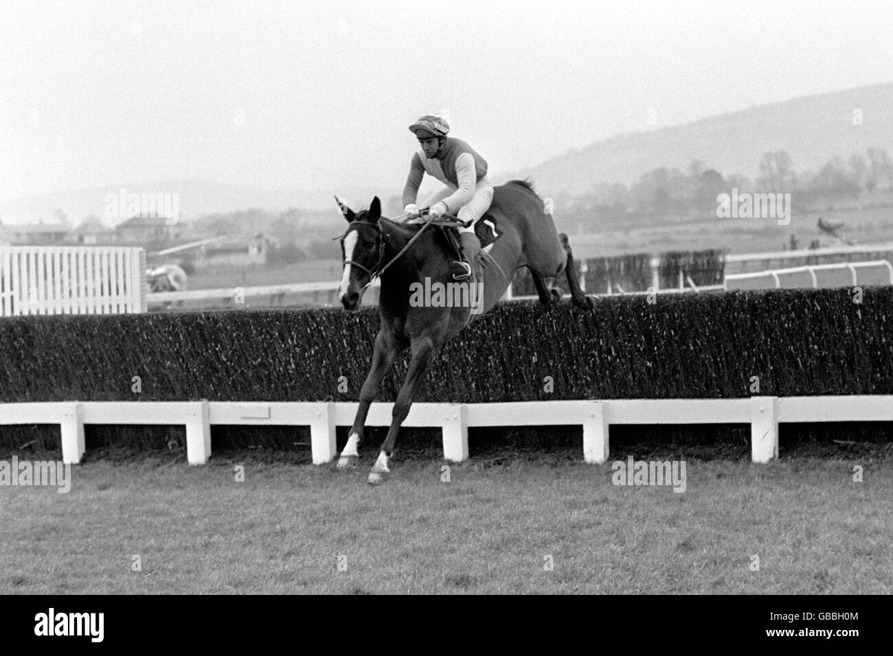 Totalisator hi-res stock photography and images - Alamy