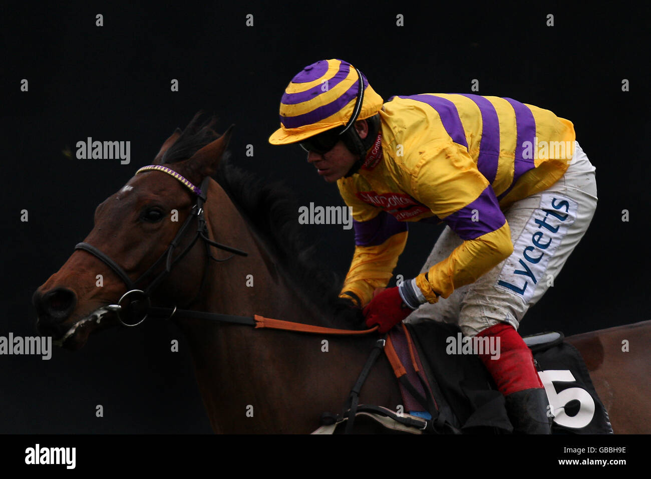 Jockey Robert Thornton on Turkish Suprise during the BGC Noel Novice's ...