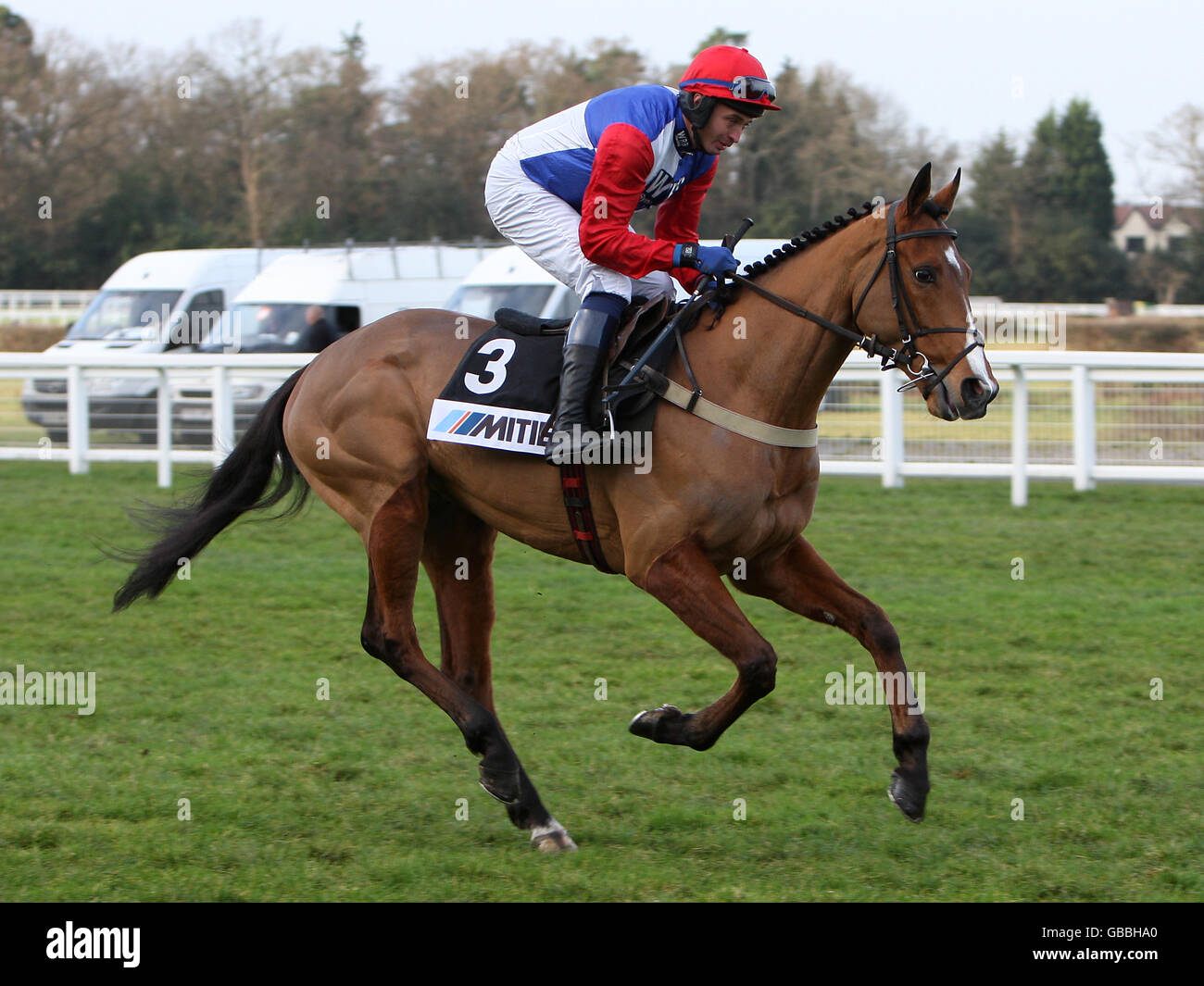 Kennel way hi-res stock photography and images - Alamy