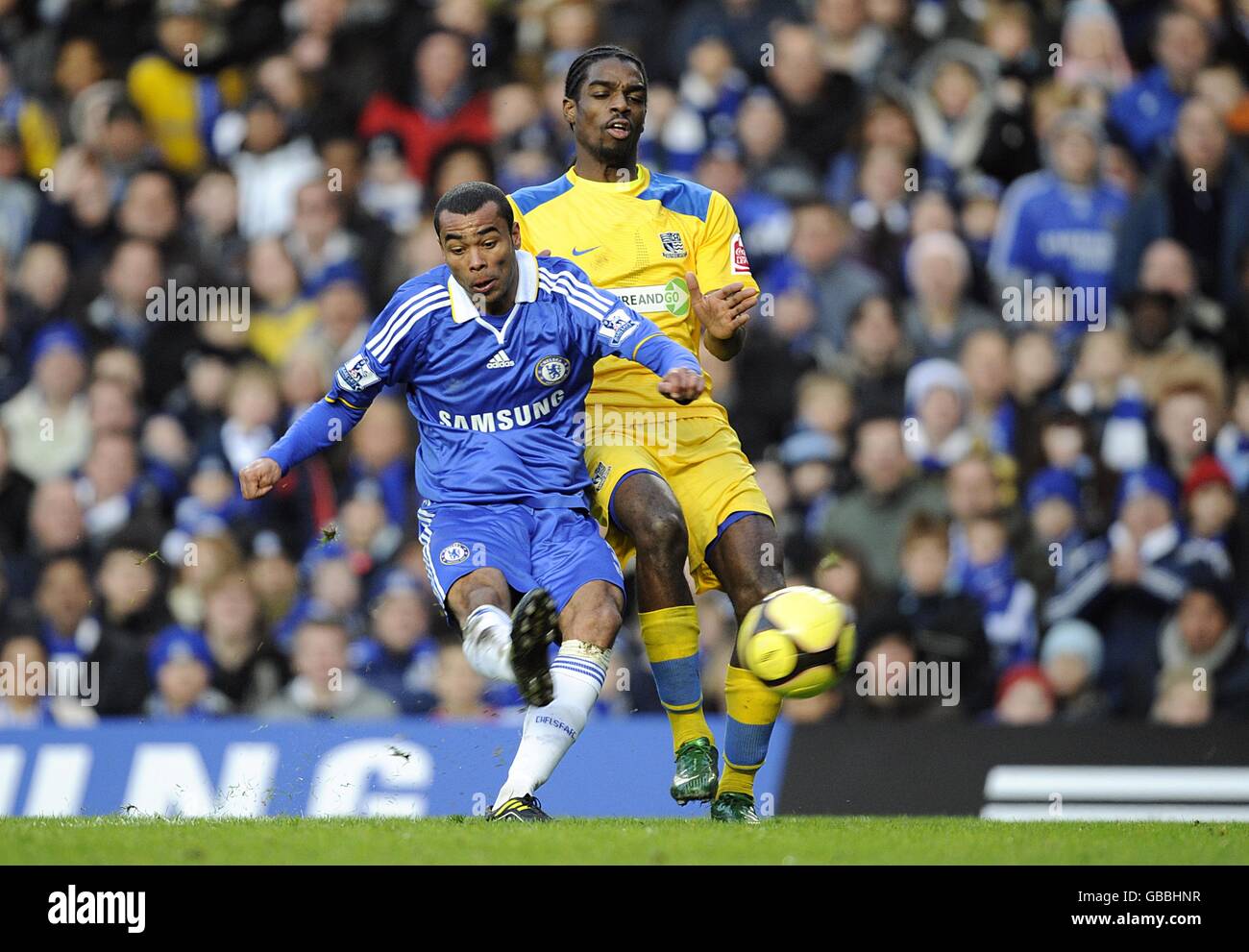 Anthony Grant Chelsea