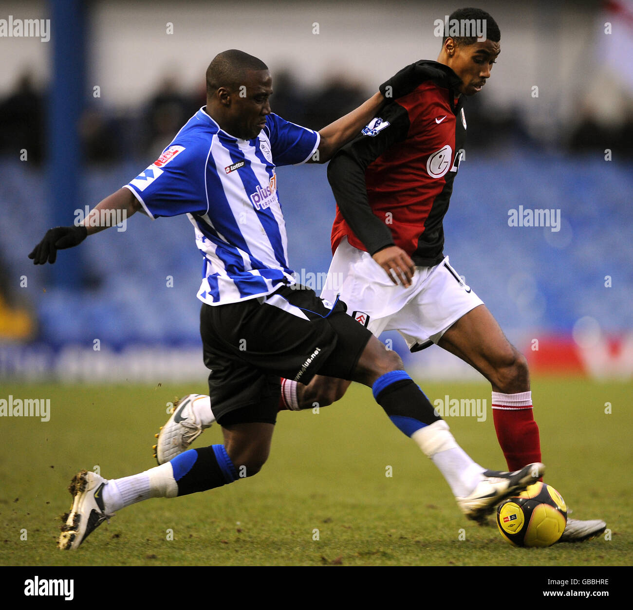 Sheffield Wednesday's Jermaine Johnson and Fulham's Julian Gray Stock ...