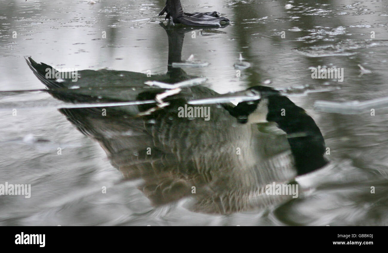 Cold weather crop hi-res stock photography and images - Alamy