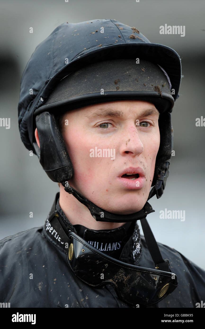 Christmas horse racing hi-res stock photography and images - Alamy