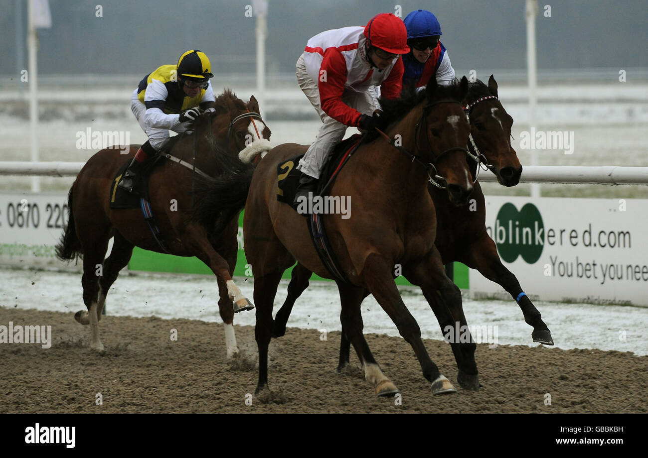 Horse Racing - Wolverhampton Racecourse Stock Photo - Alamy