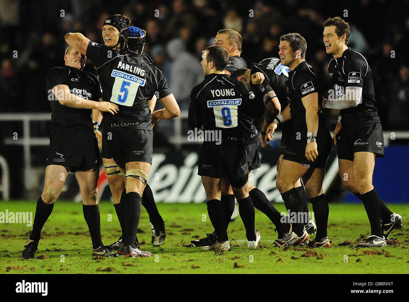 Rugby union celebrating cheering team hi-res stock photography and ...