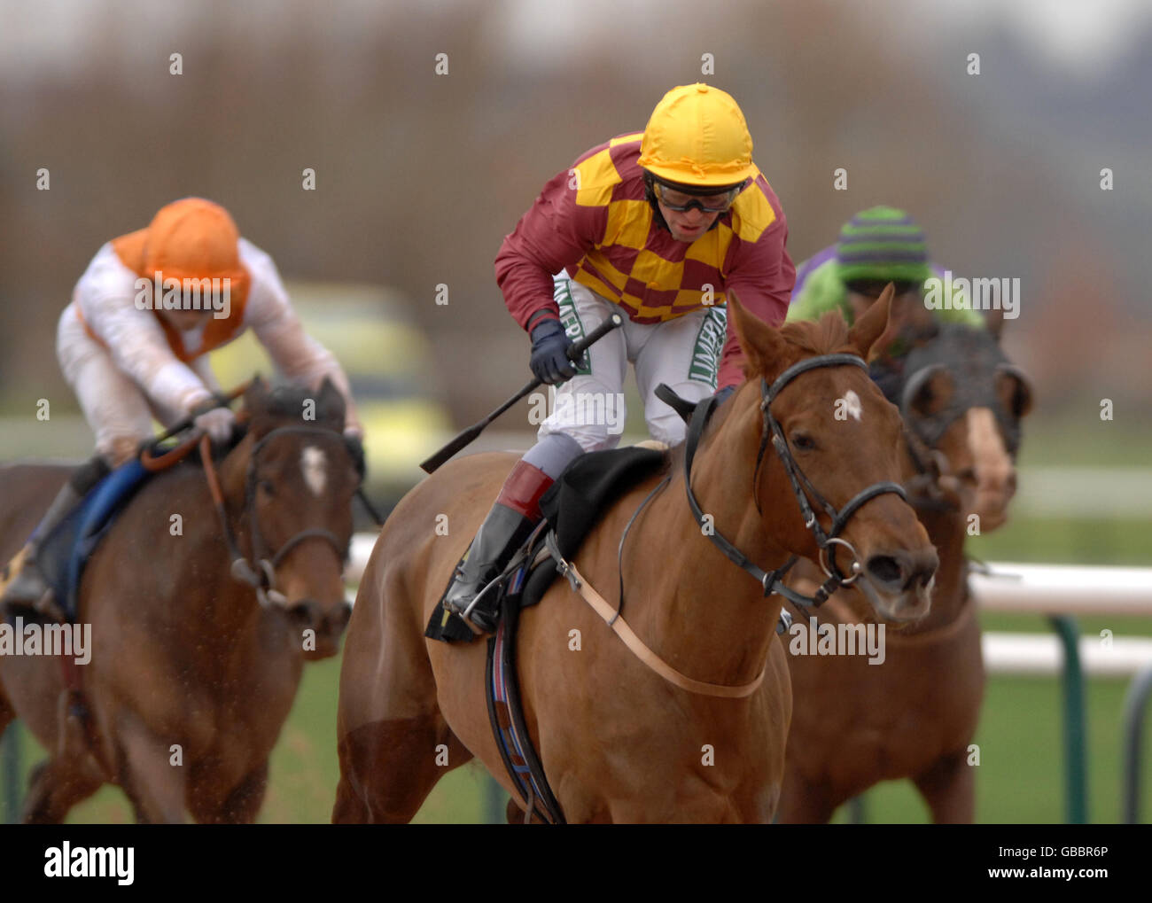 Horse racing races all weather ampics hi-res stock photography and ...