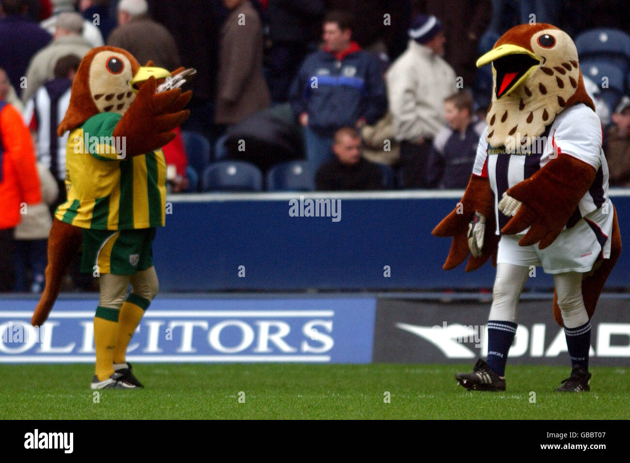 Baggie bird hi-res stock photography and images - Alamy