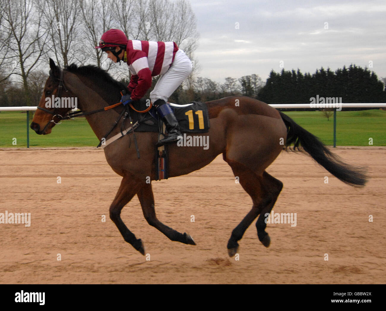 Horse Racing - Southwell Racecourse. Jockey Terence Fury on Super King ...