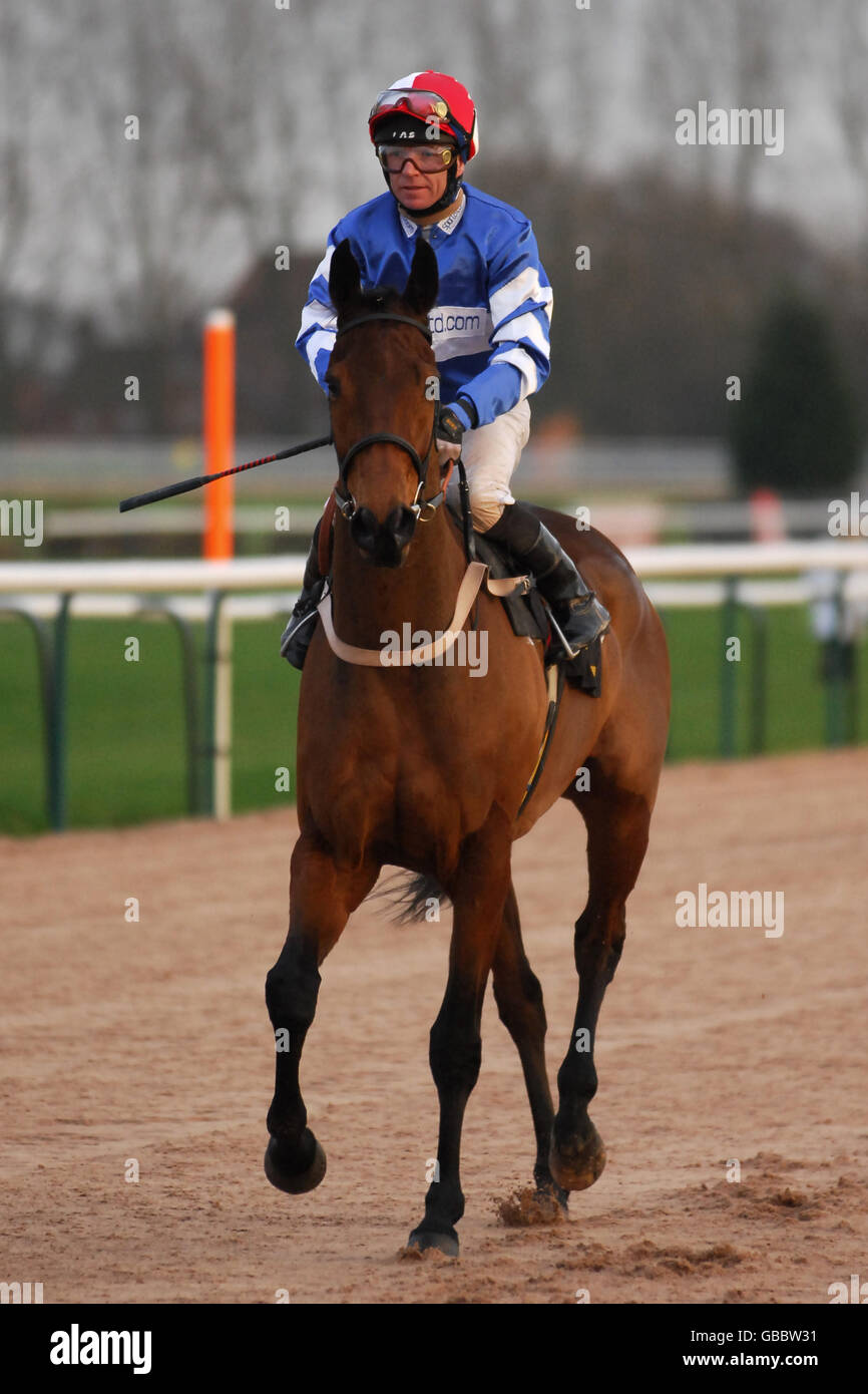 Horse racing races all weather ampics hi-res stock photography and ...