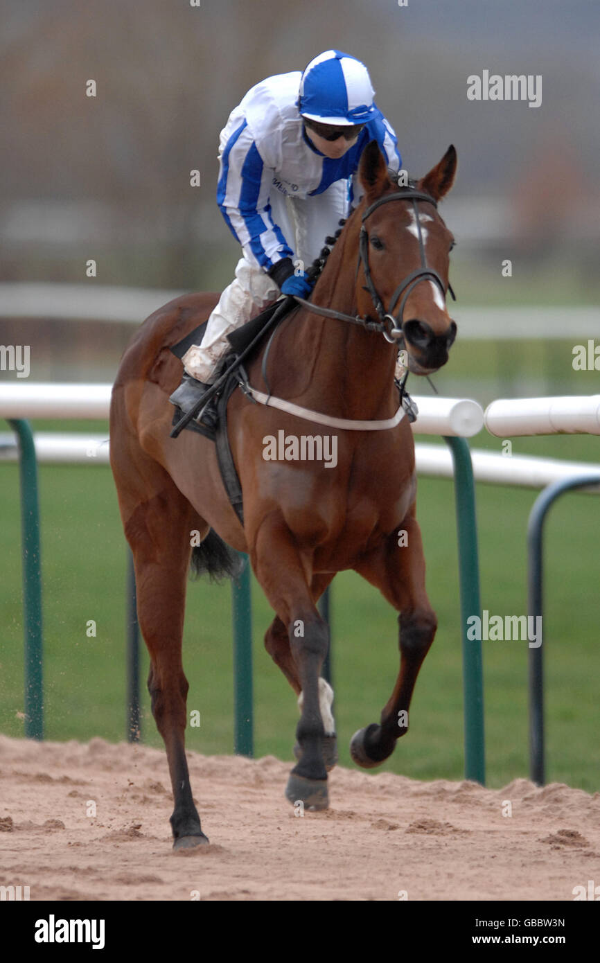 Horse racing races all weather ampics hi-res stock photography and ...