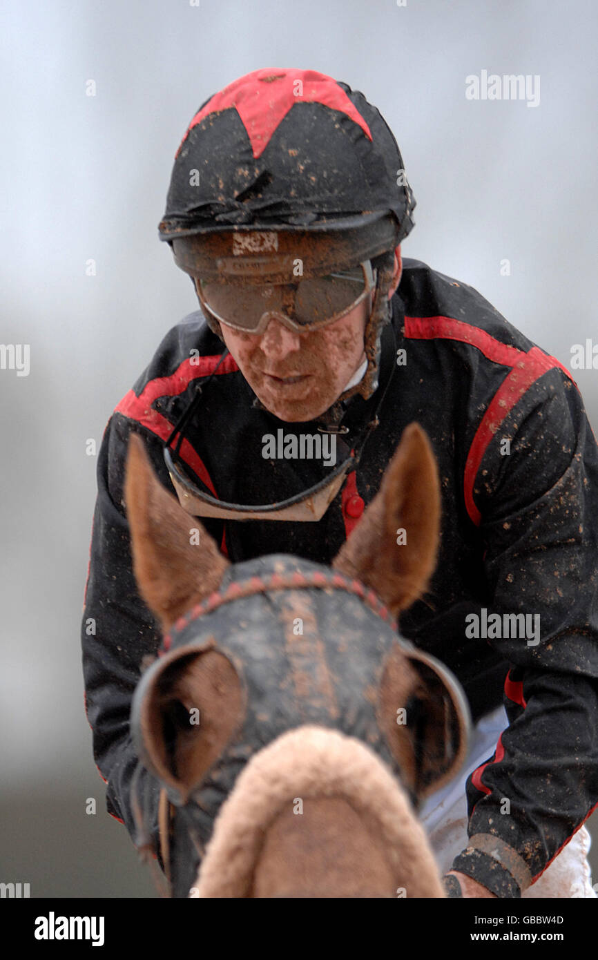 Horse racing races all weather ampics hi-res stock photography and ...