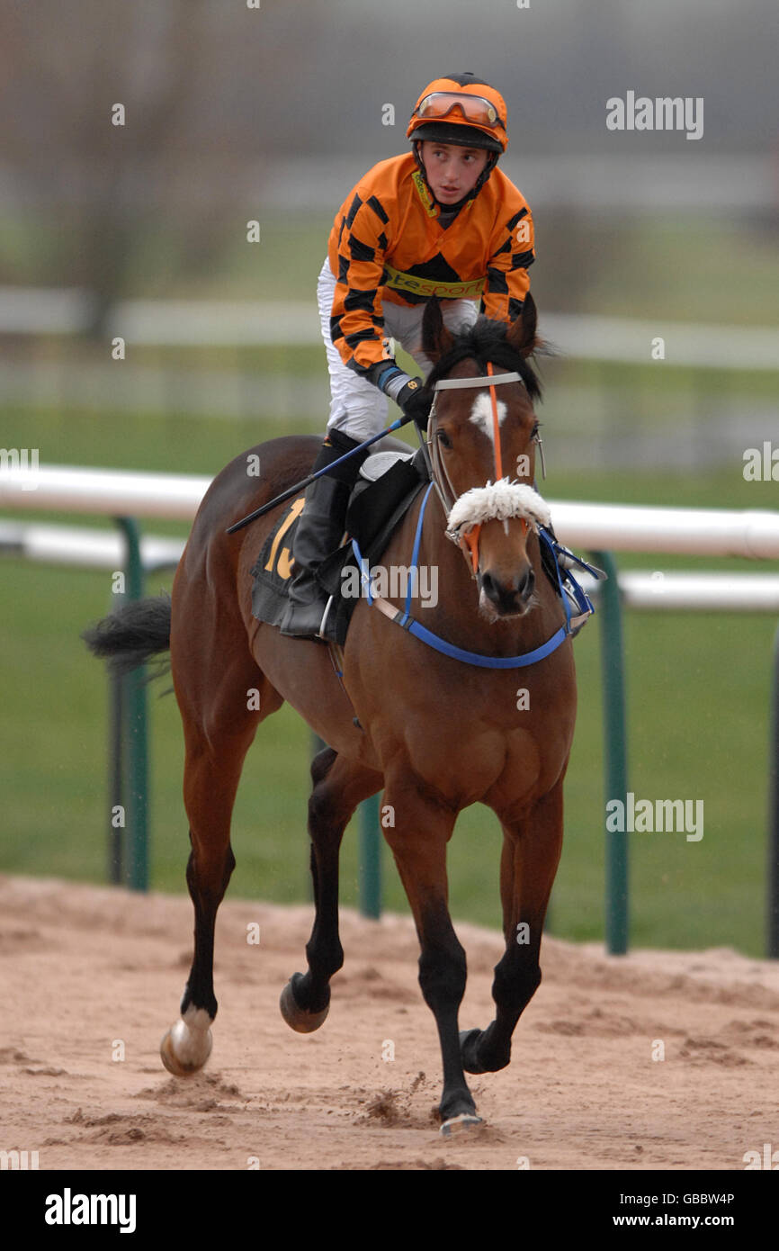 Jockey Duran Fentiman on Vanatina goes to post in the William Hill ...