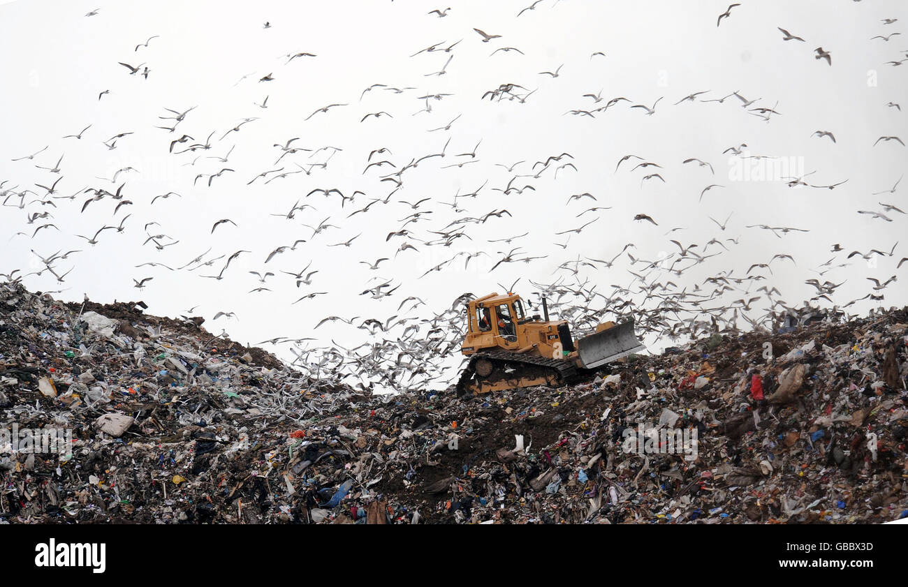 Food waste landfill hi-res stock photography and images - Alamy
