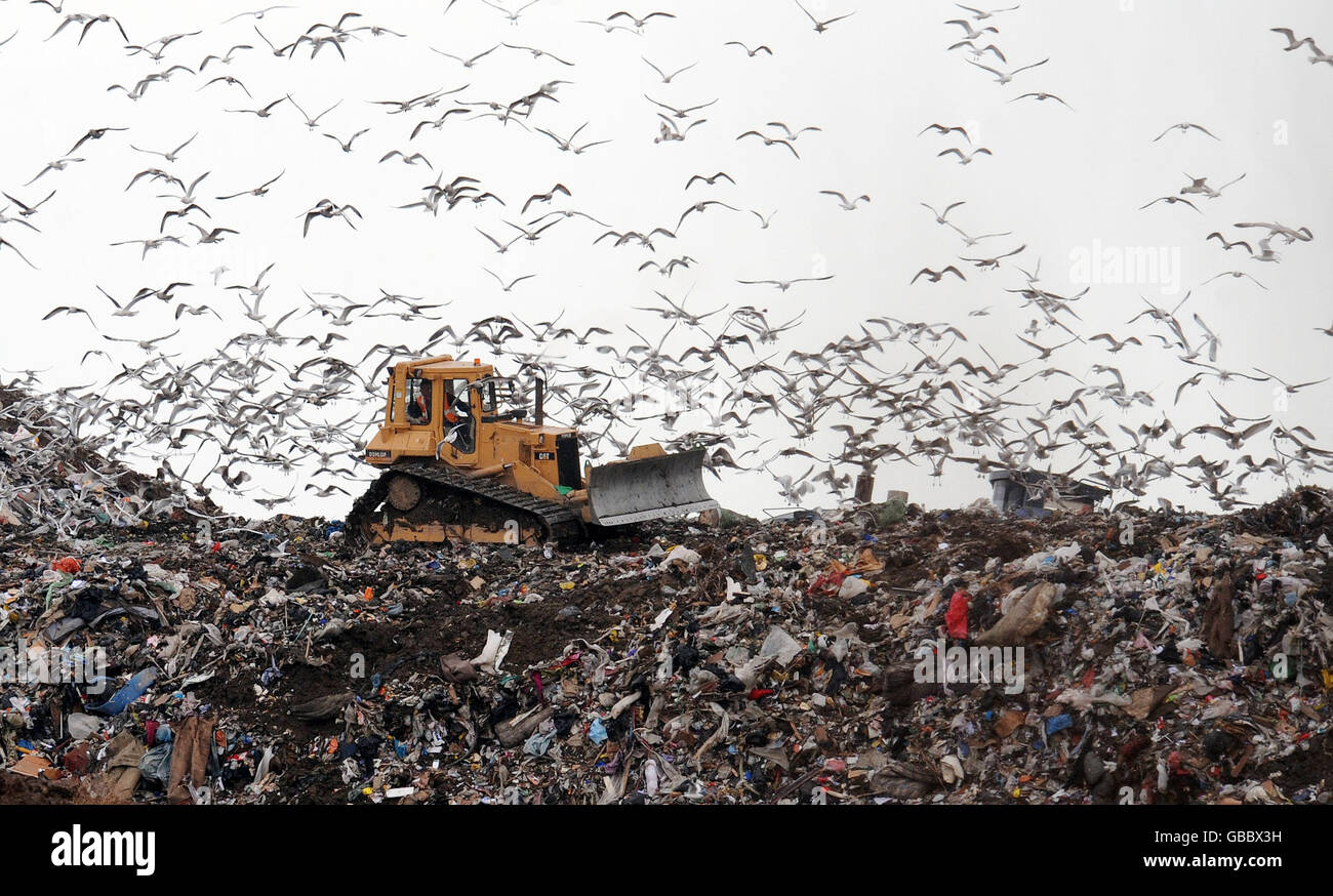 Food waste landfill hi-res stock photography and images - Alamy