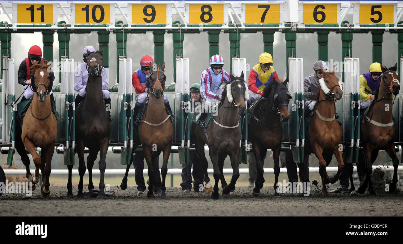 Stalls lingfield park racecourse hi-res stock photography and images ...