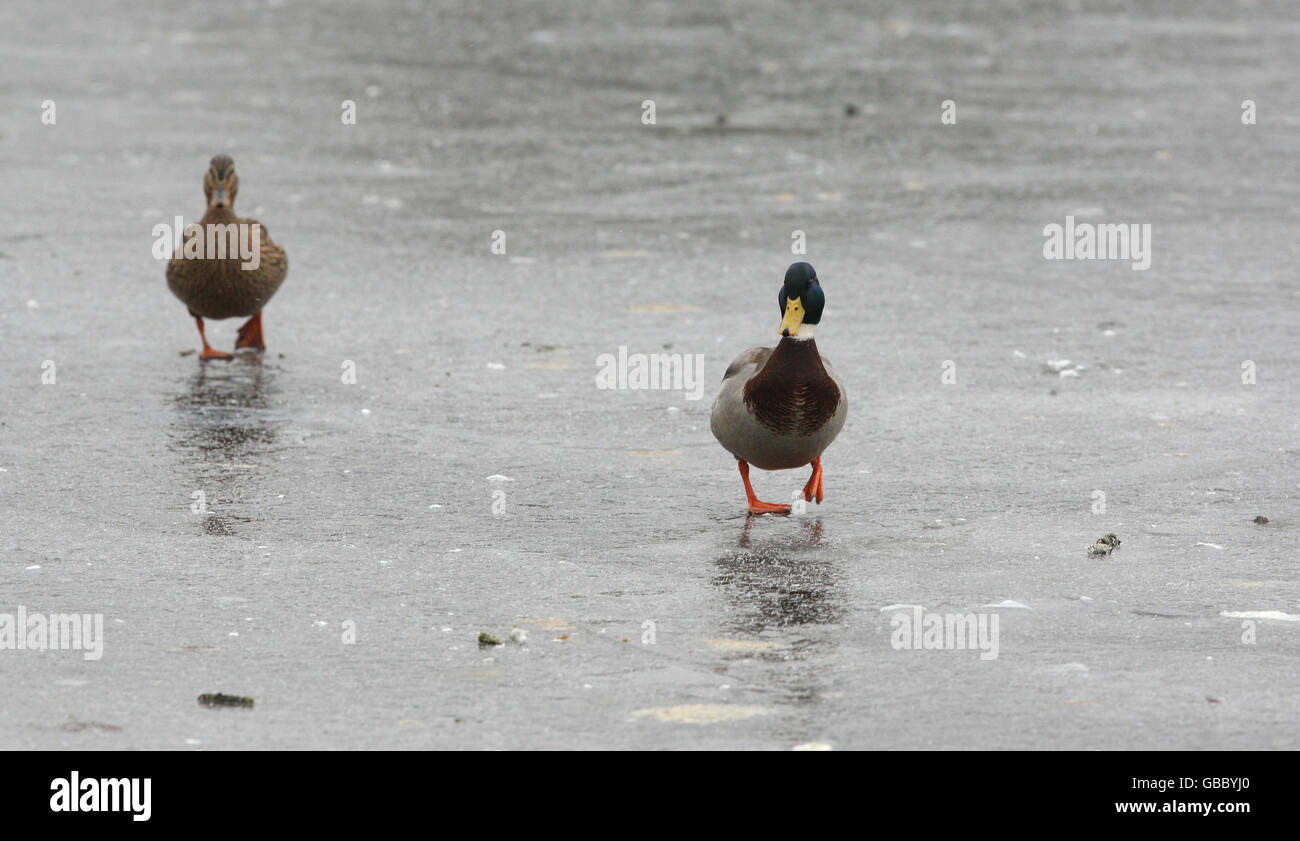 Etherow country park hi-res stock photography and images - Alamy