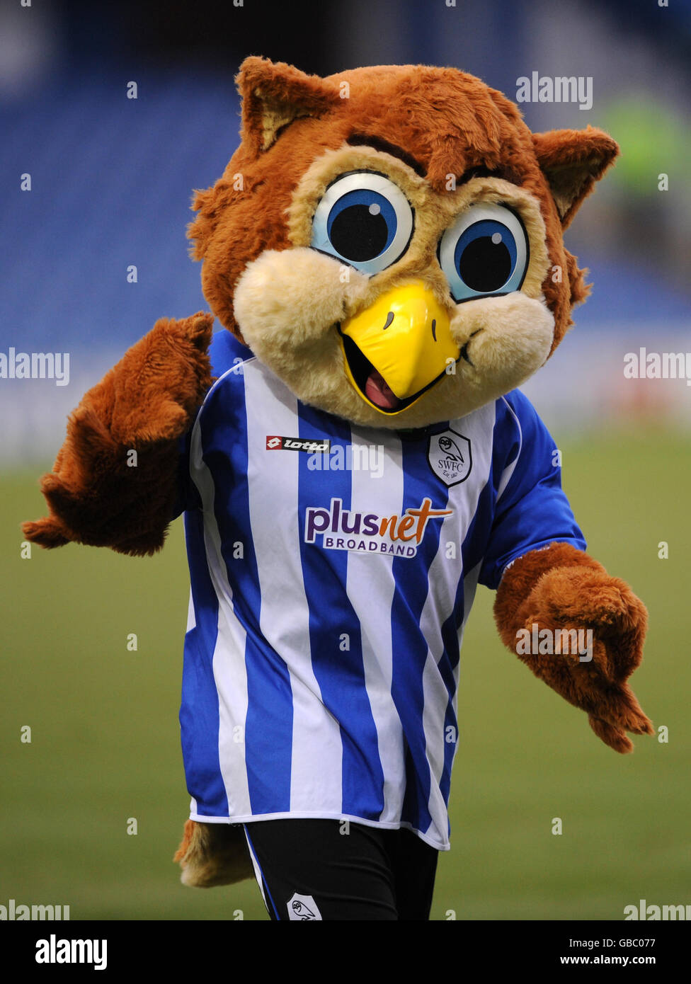 Sheffield wednesday mascot barney owl hi-res stock photography and ...