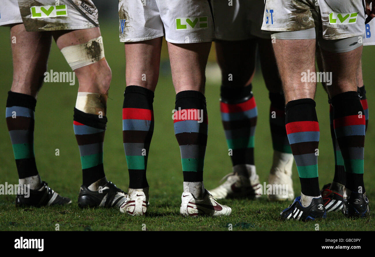 London wasps huddle up hi-res stock photography and images - Alamy