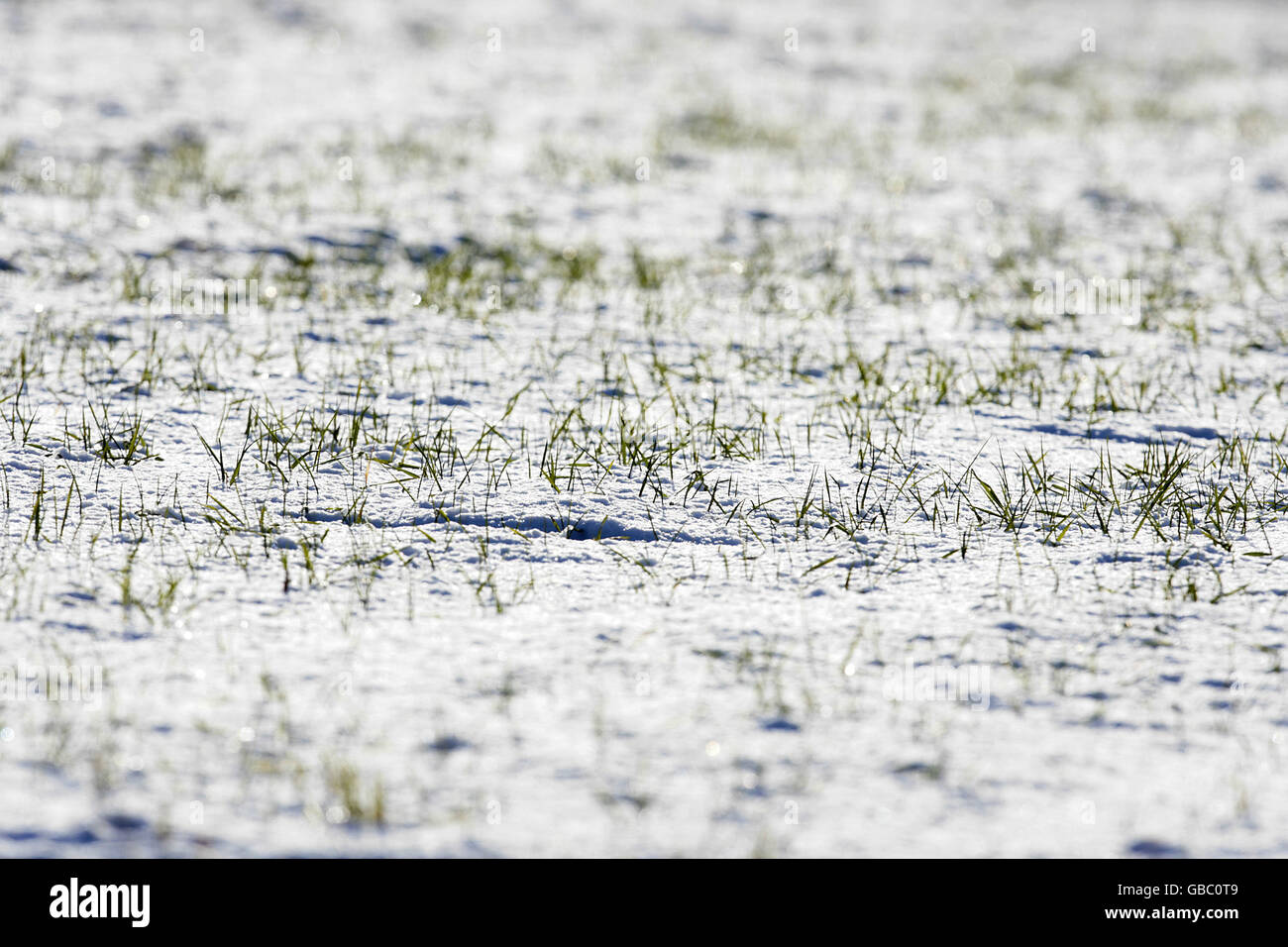 Continuing heavy frosts and below freezing temperatures mark the ...