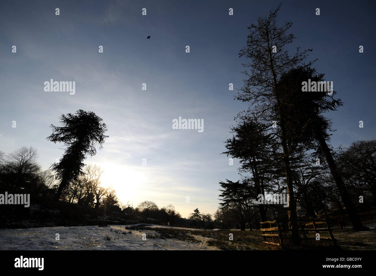 Below freezing temperatures hi-res stock photography and images - Alamy