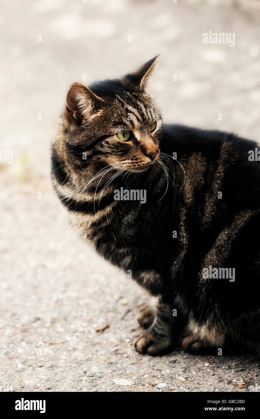Turning away his head hi-res stock photography and images - Alamy