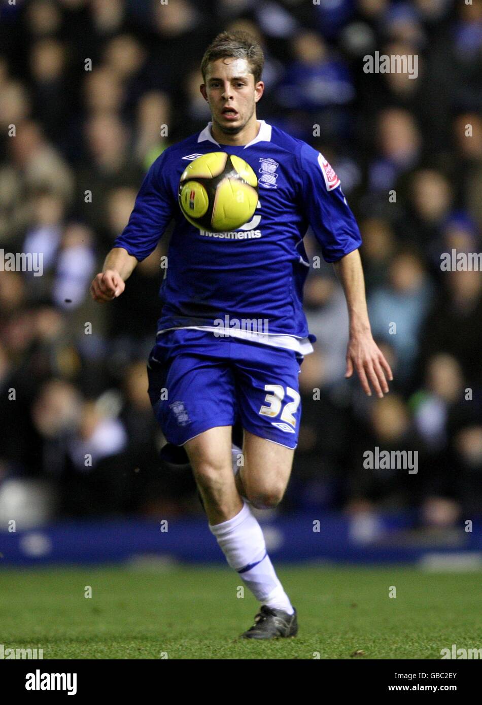 Robin shroot hi-res stock photography and images - Alamy