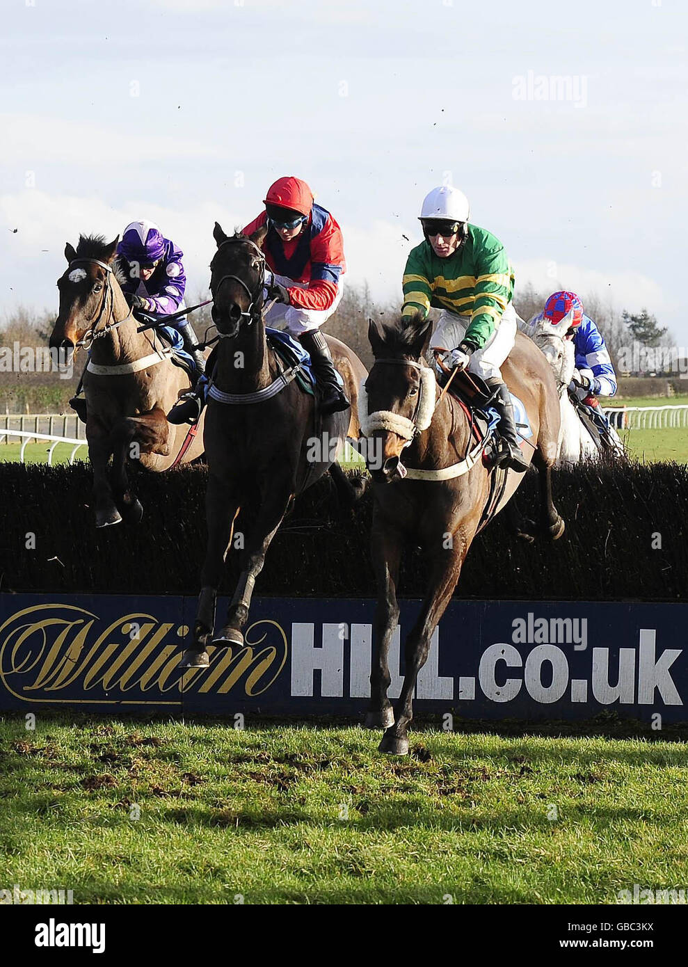 Sport competition riding action fence horse race horse racecourse hi ...