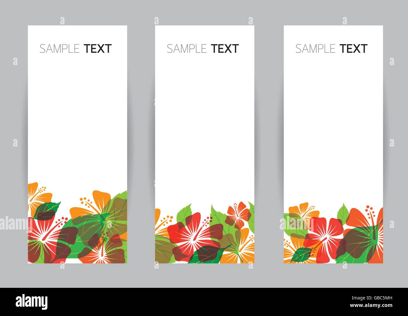 Hibiscus Banner, Flowers, Tropical, Summer Stock Vector Image & Art - Alamy