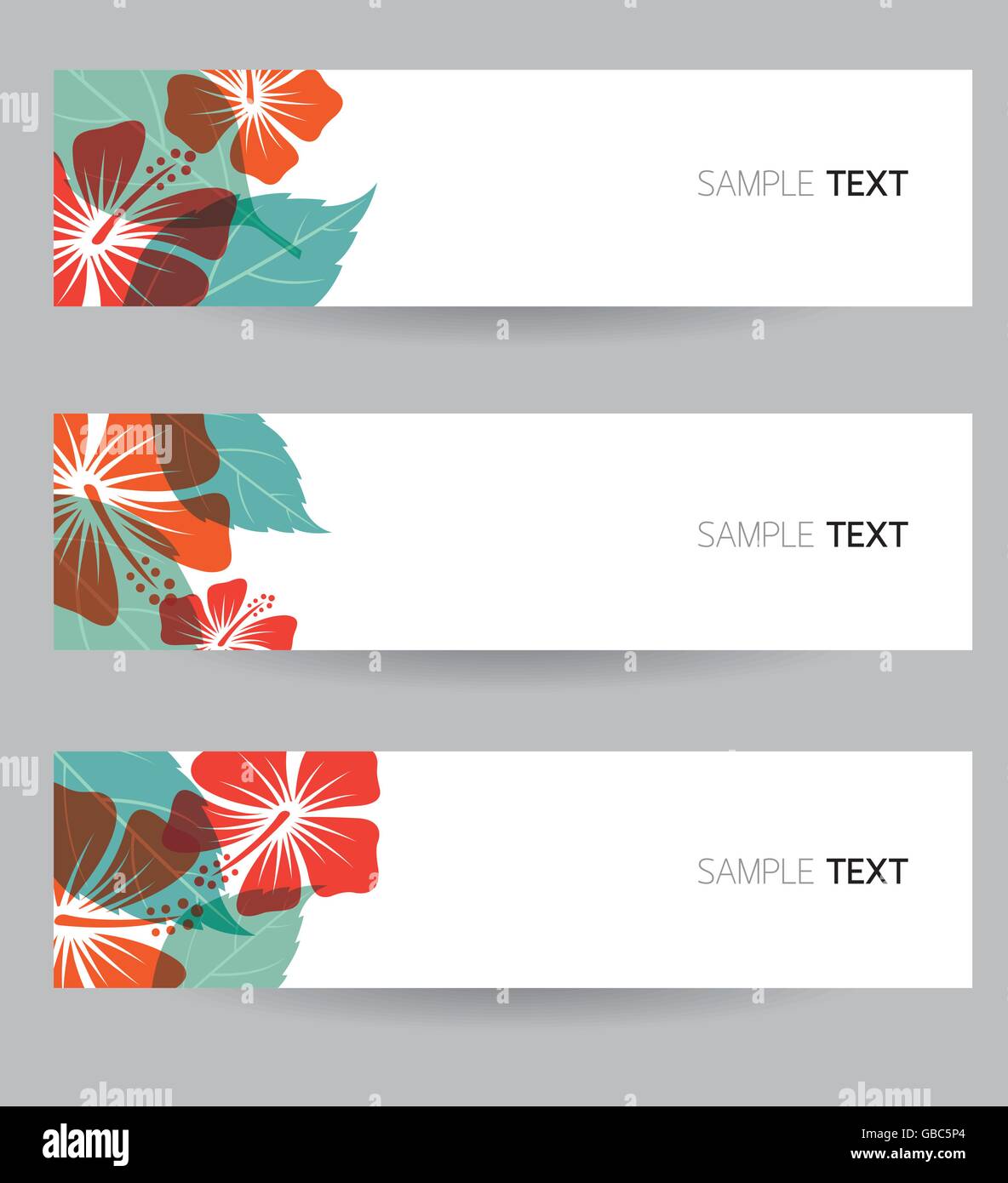 Hibiscus Banner, Flowers, Tropical, Summer Stock Vector Image & Art - Alamy