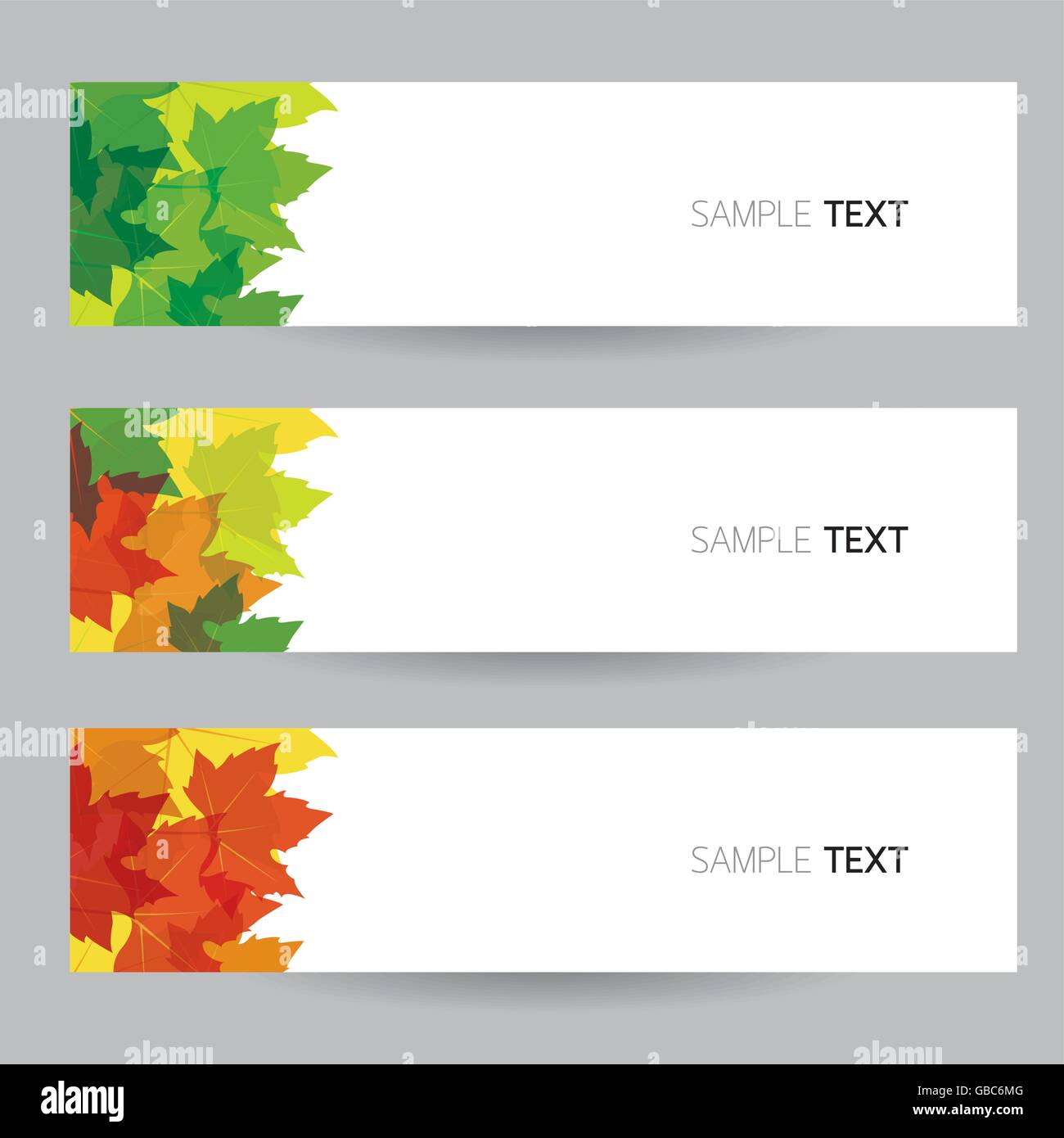 Maple Leaves Banner, Autumn and Green Season, Foliage, Vector Stock ...