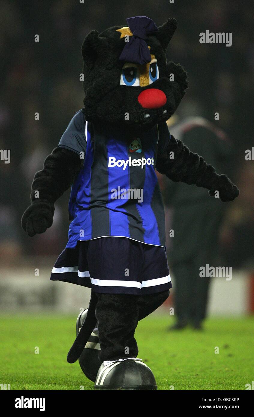 Soccer - Barclays Premier League - Sunderland v Fulham - Stadium of ...