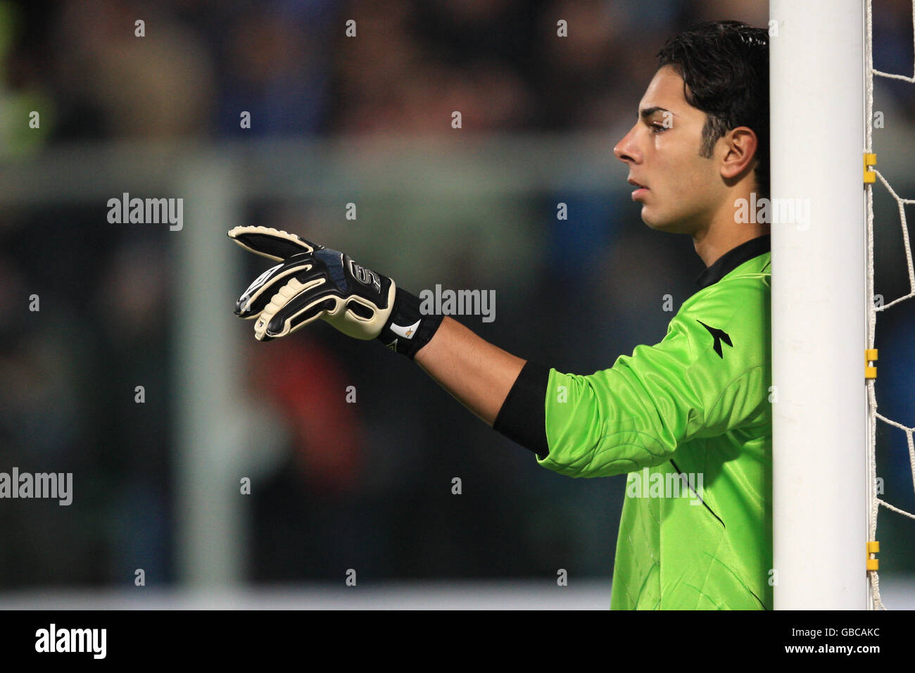 Sepe hi-res stock photography and images - Alamy