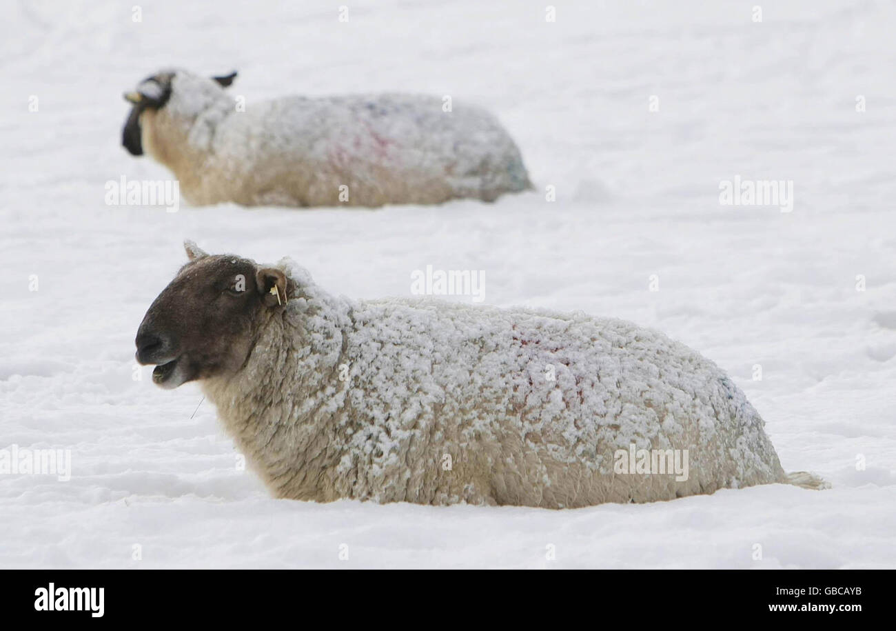 Snow drifts i hi-res stock photography and images - Alamy