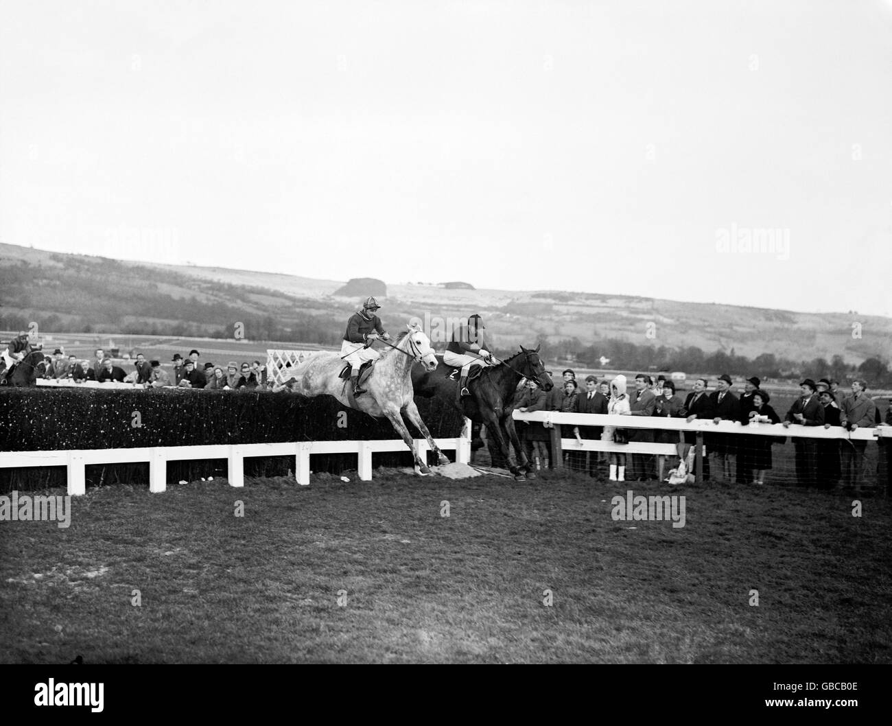The cheltenham gold cup Black and White Stock Photos & Images - Alamy