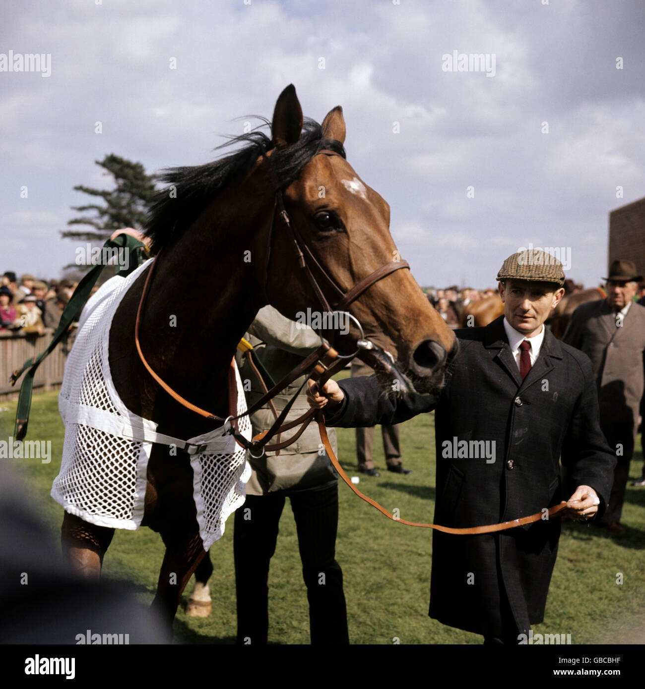 Nijinsky (horse) hi-res stock photography and images - Alamy