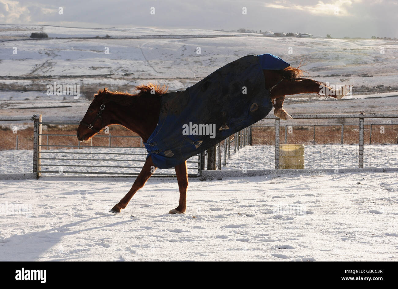 Overnight stables hi-res stock photography and images - Alamy
