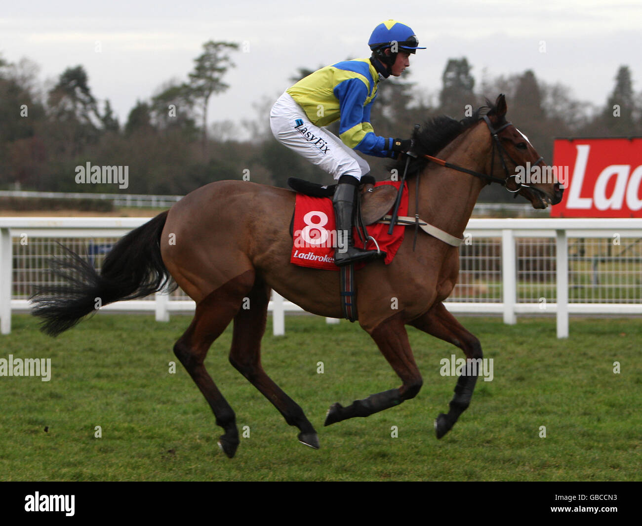 Horse Racing - The BGC Christmas Meeting - Day Two - Ascot Racecourse ...