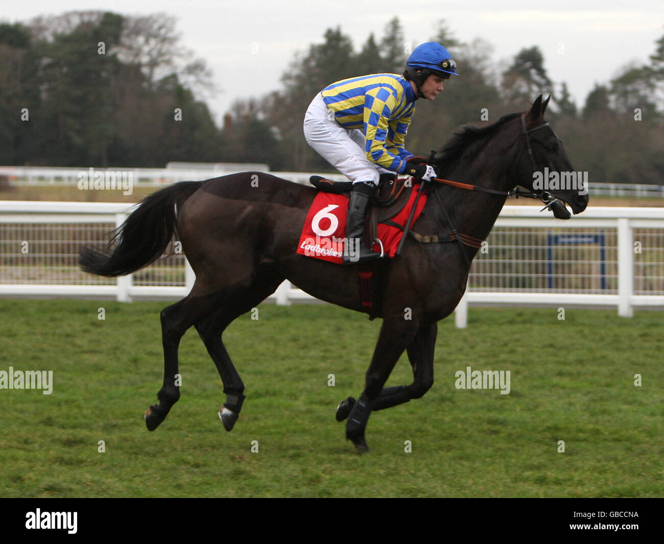 Horse Racing - The BGC Christmas Meeting - Day Two - Ascot Racecourse ...