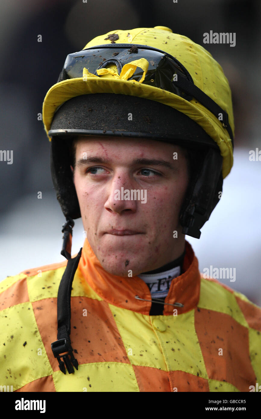 Horse Racing - The BGC Christmas Meeting - Day Two - Ascot Racecourse ...